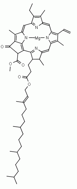 Chlorophyll a