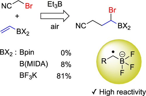 High Reactivity of α-Boryl Radical of Potassium Alkyltrifluoroborate in ...
