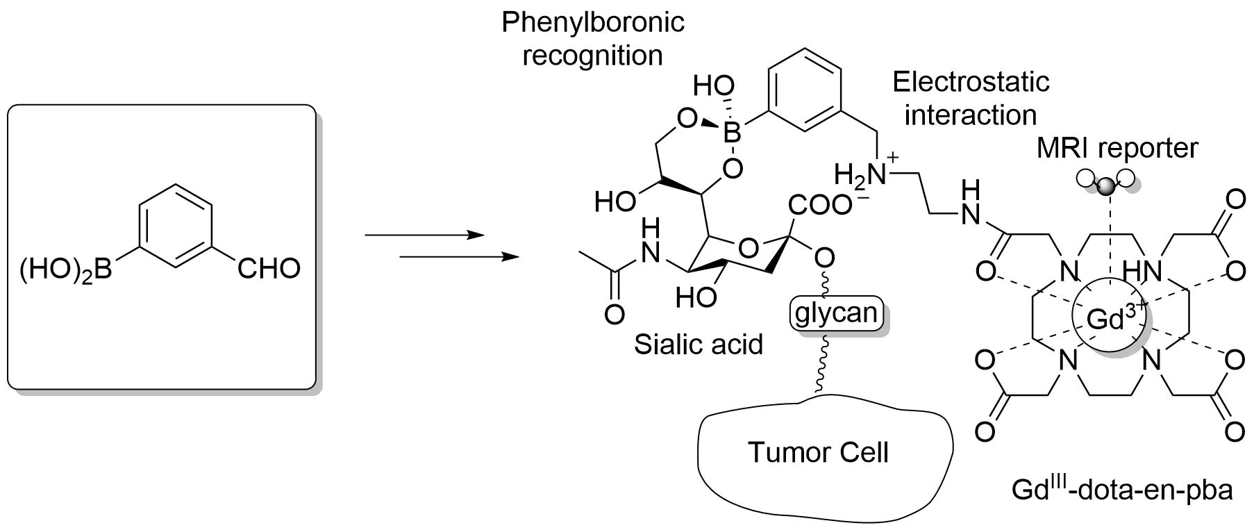 Organoborons | Frontier Specialty Chemicals