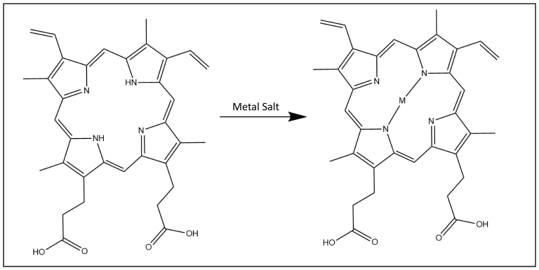 Protoporphyrin IX: A Primer | Frontier Specialty Chemicals