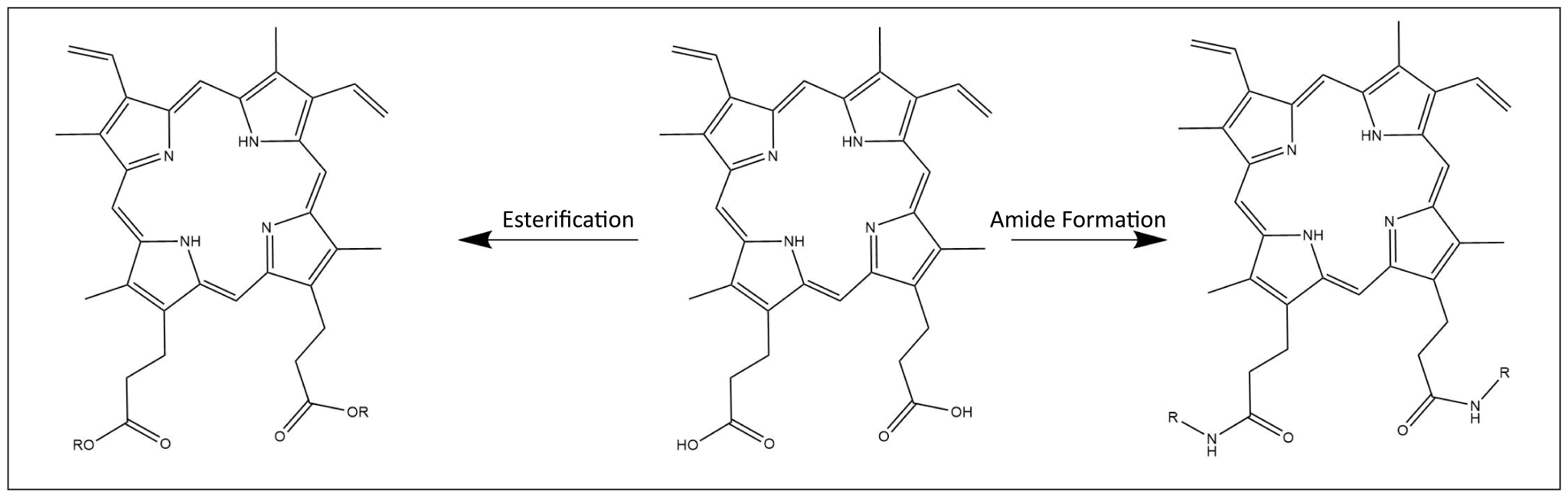 Protoporphyrin IX: A Primer | Frontier Specialty Chemicals