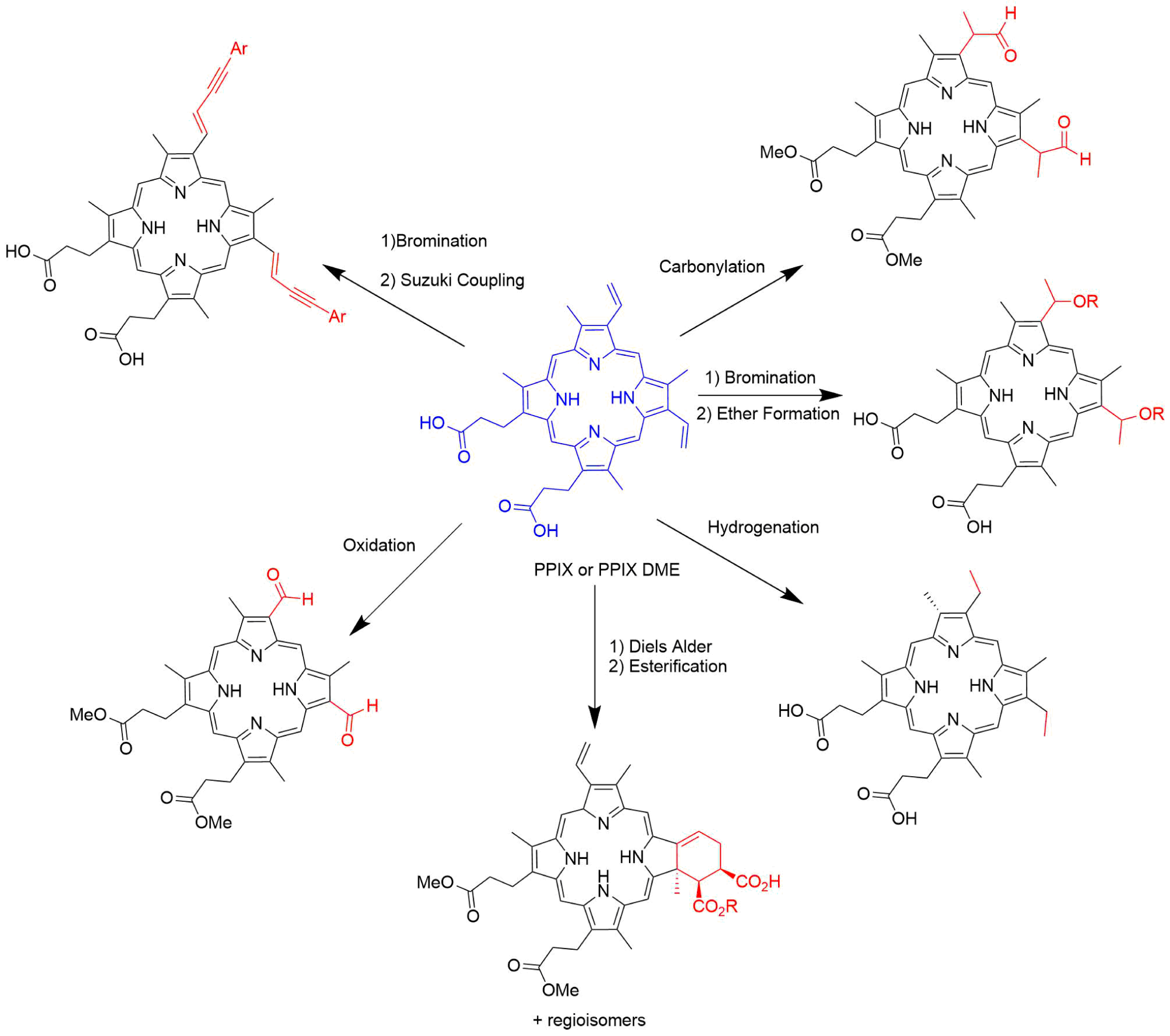 Protoporphyrin IX: A Primer | Frontier Specialty Chemicals