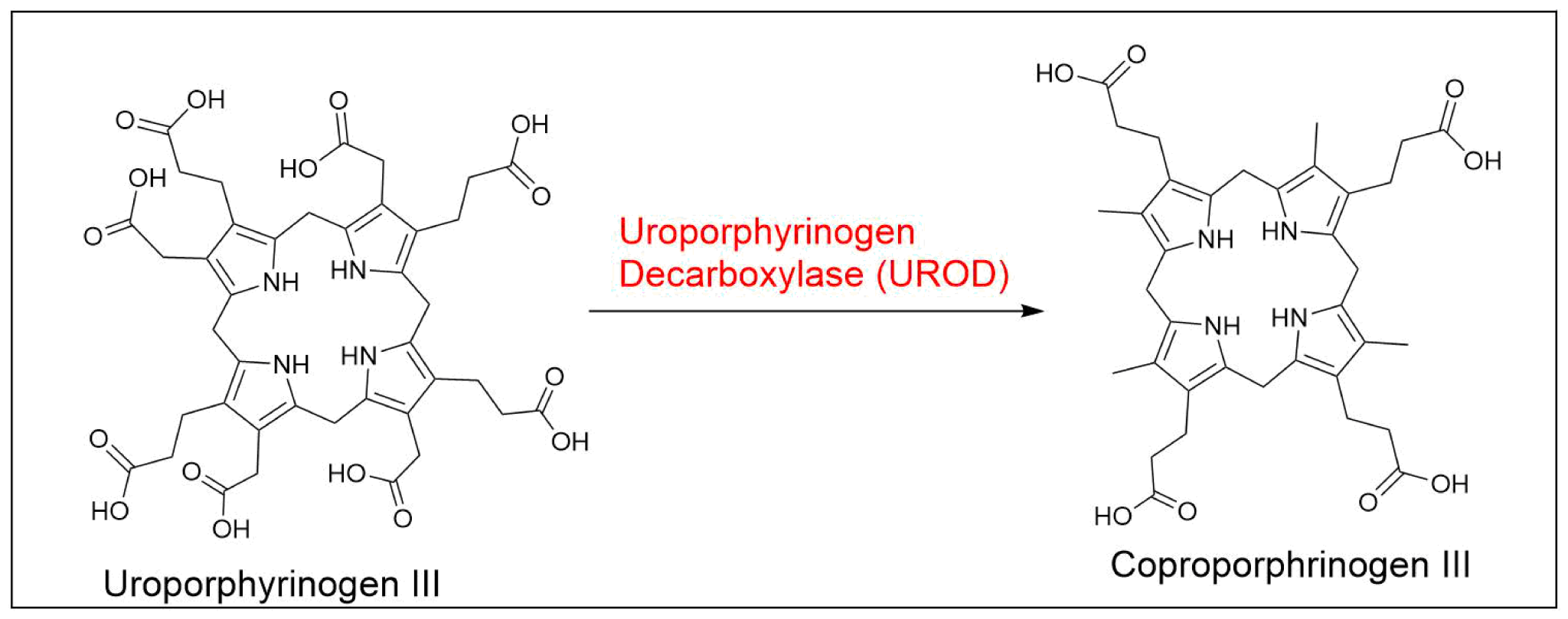 Protoporphyrin IX: A Primer | Frontier Specialty Chemicals