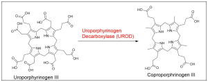 Protoporphyrin IX: A Primer | Frontier Specialty Chemicals
