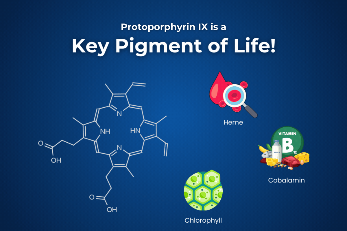 Protoporphyrin IX: A Primer | Frontier Specialty Chemicals